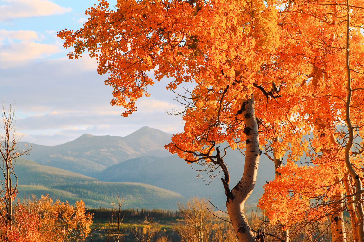 5 Must-Do Fall Activities