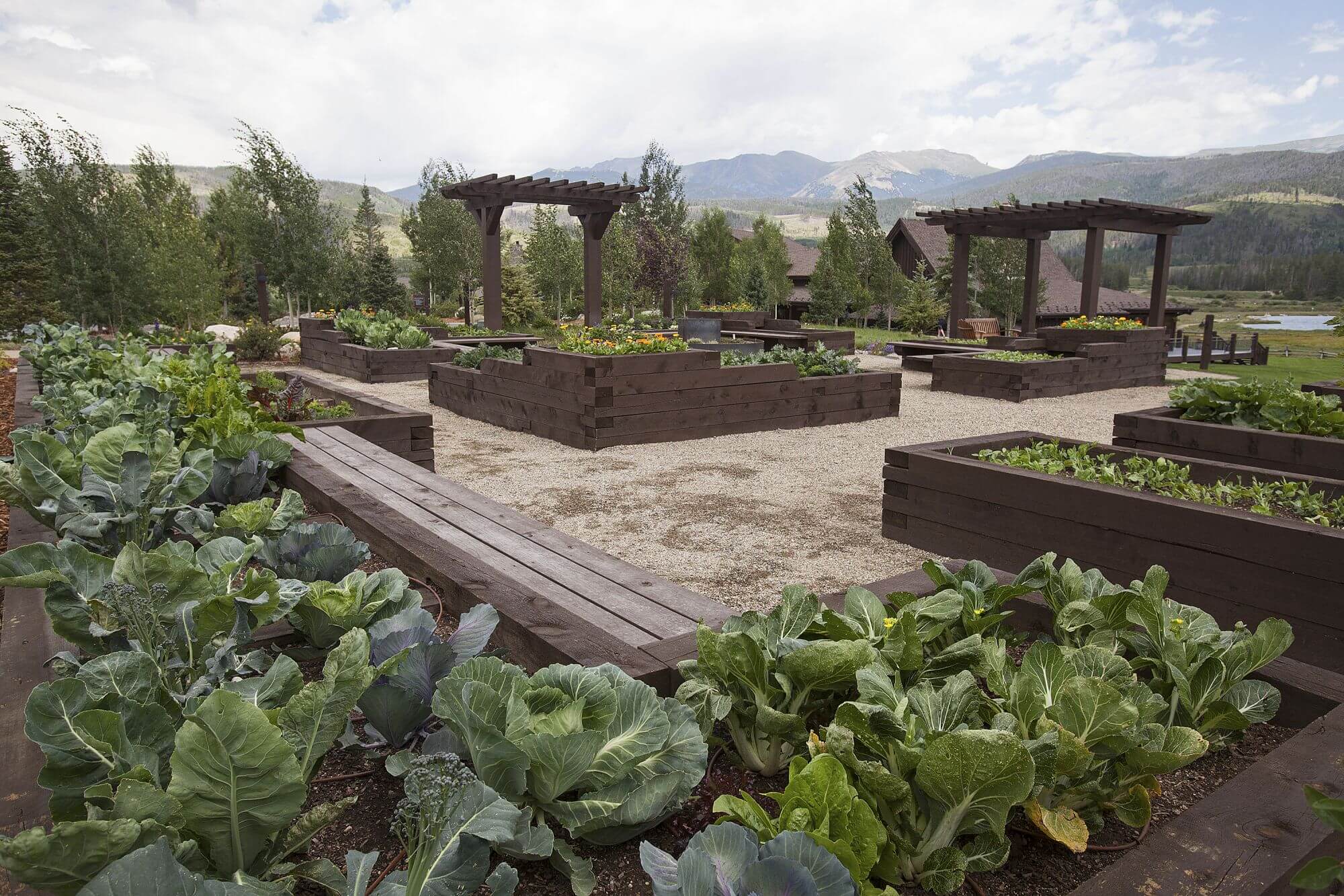 Sustainable Gardening at the Ranch