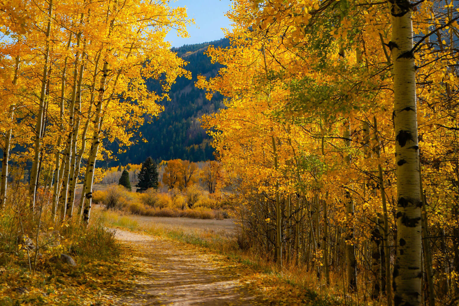 Colorado Fall Foliage Hikes | Devil's Thumb Ranch Resort & Spa