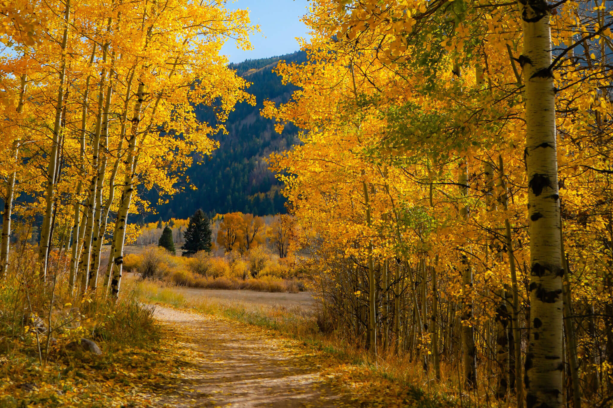 Colorado Fall Foliage Hikes | Devil's Thumb Ranch Resort & Spa